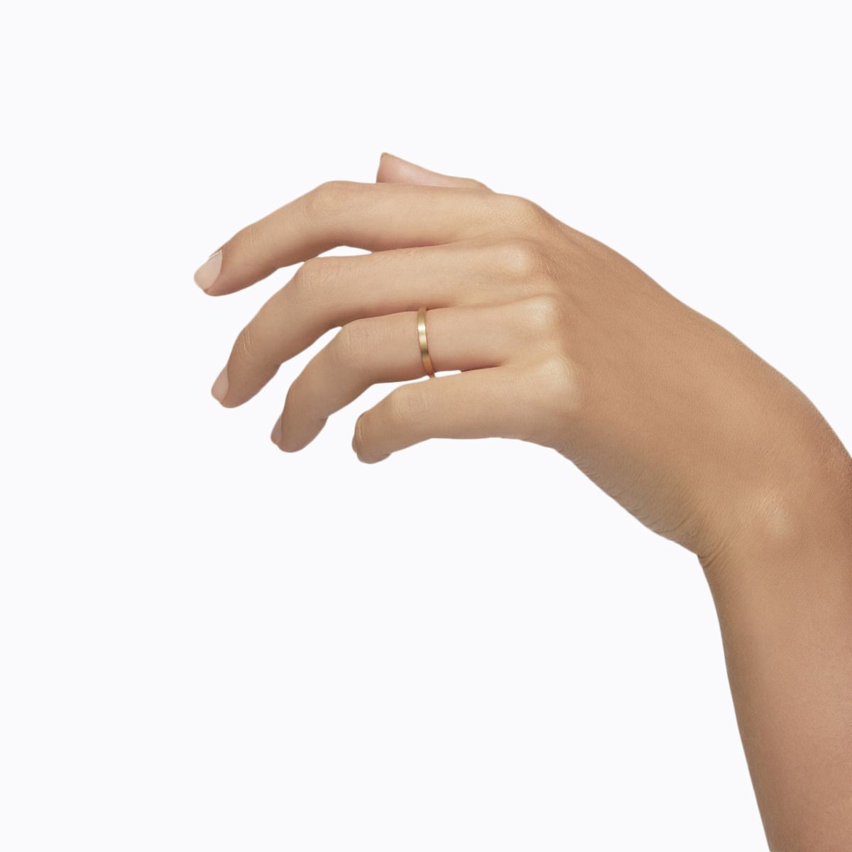 Shihara Flat Ring 20 | Tortoise General Store