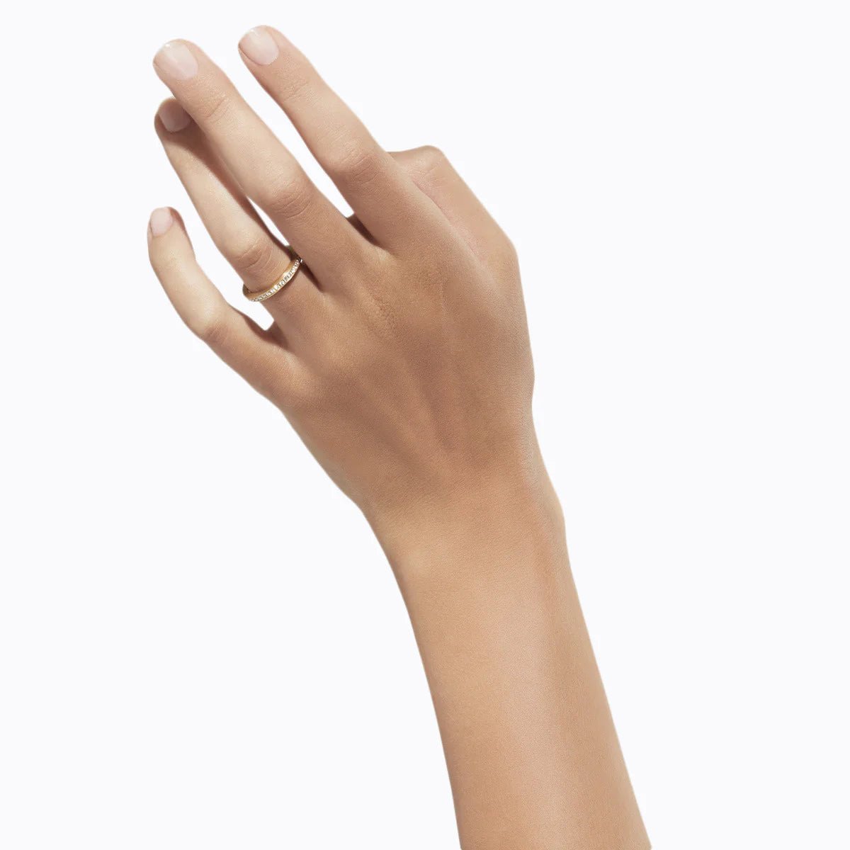 Shihara Full Eternity Ring 01, Outside | Tortoise General Store