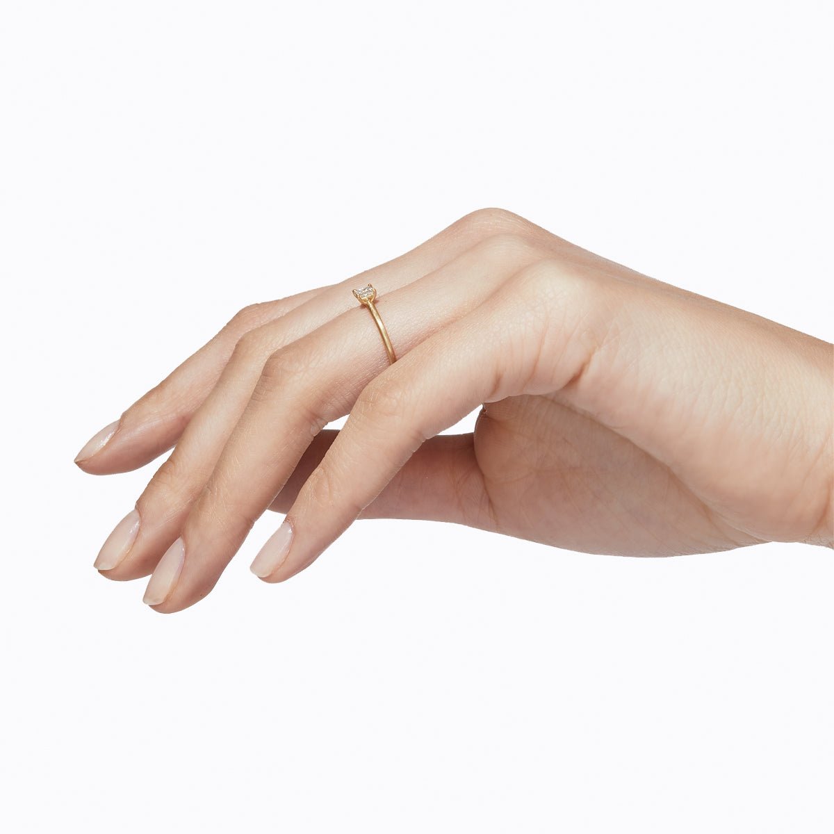 Shihara Classic Ring 04 | tortoise general store