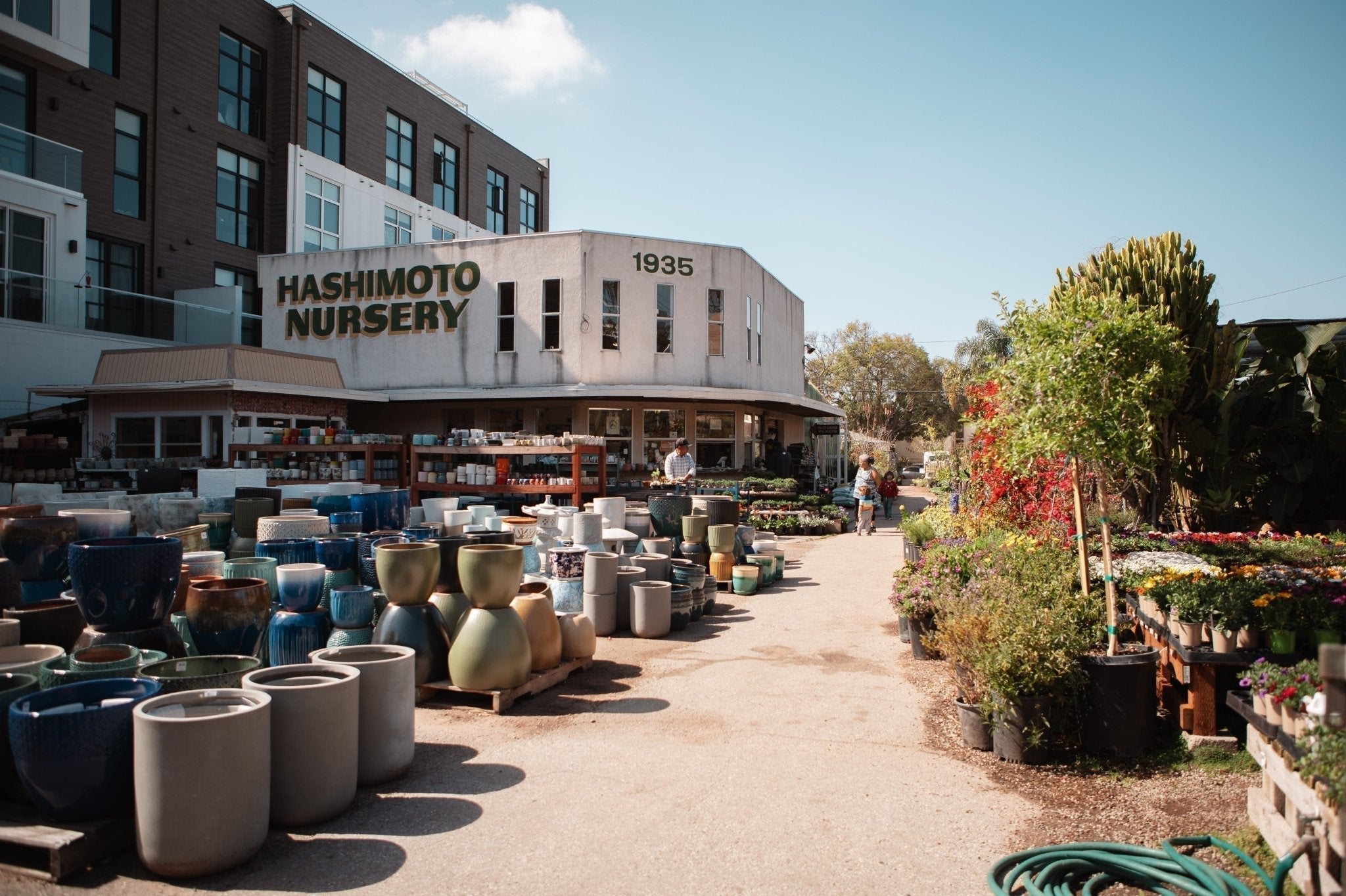 Timeless Roots: Honoring Friendship and Green Spaces - Hashimoto Nurse ...