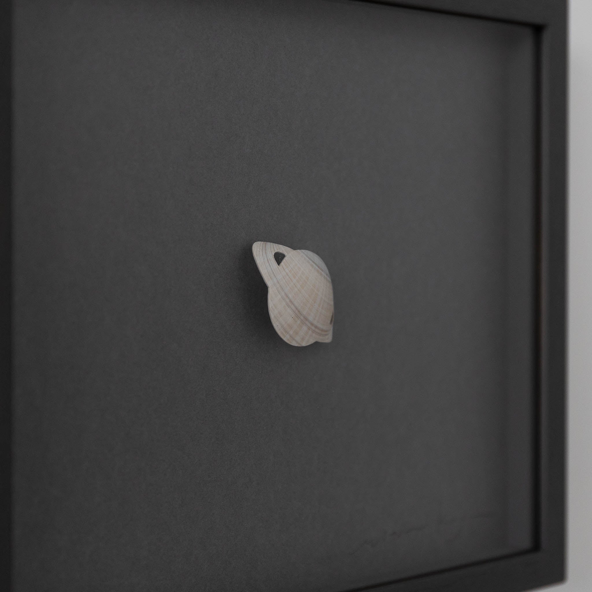 Shell Planet #6 (All Around You, 2024) by Mitsuru Koga | Tortoise ...