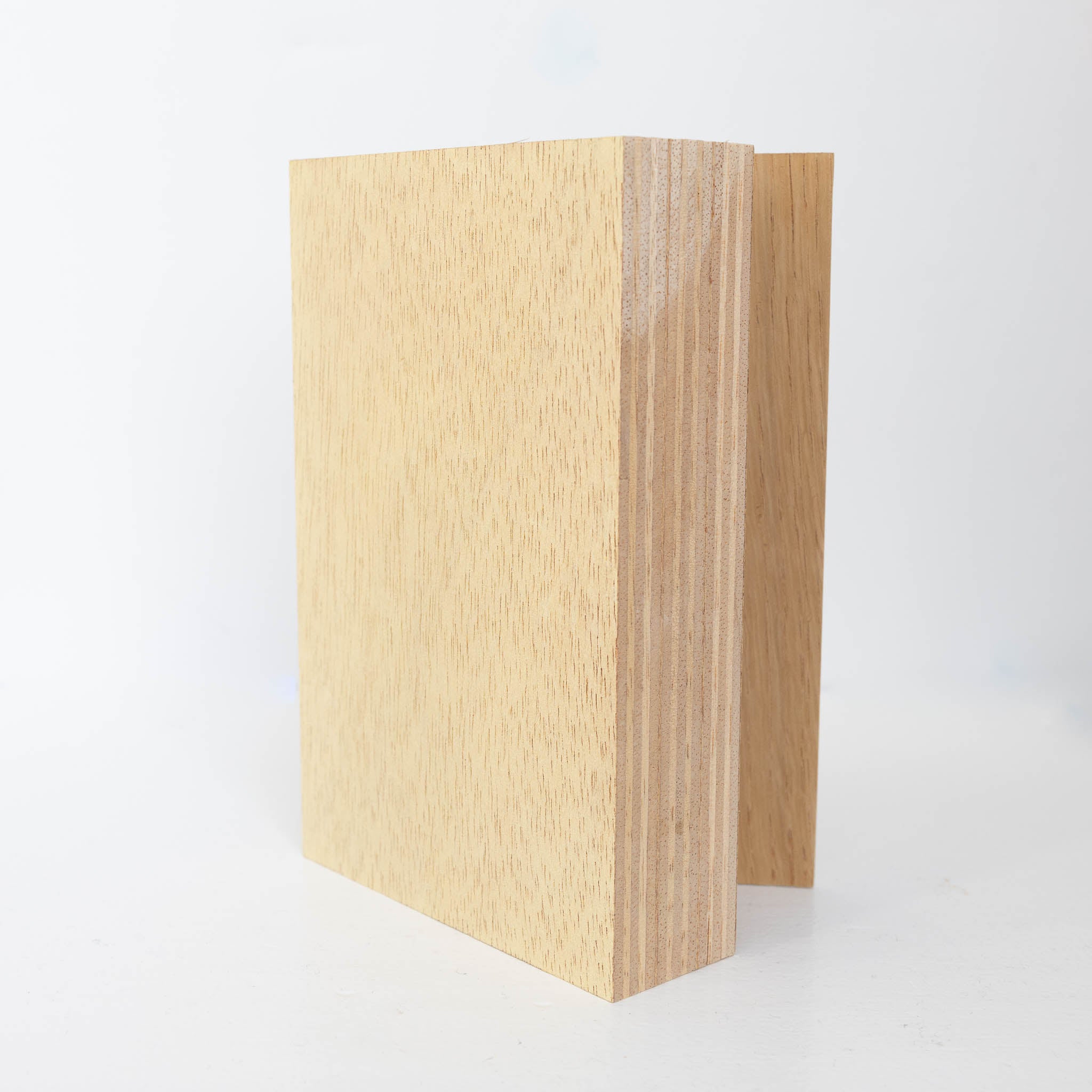 Wood Book #3 (All Around You, 2024) by Mitsuru Koga | Tortoise General ...