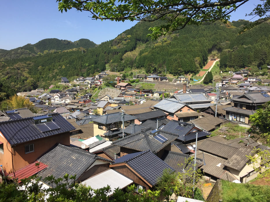 HASAMI PORCELAIN x SHIHARA: Grey Collection Installation at Shihara To ...