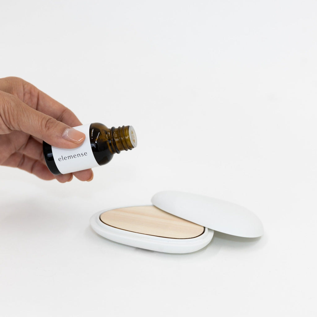 Tortoise General Store