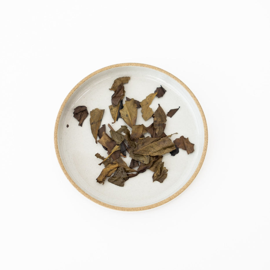 Ippodo Tea | Tortoise General Store