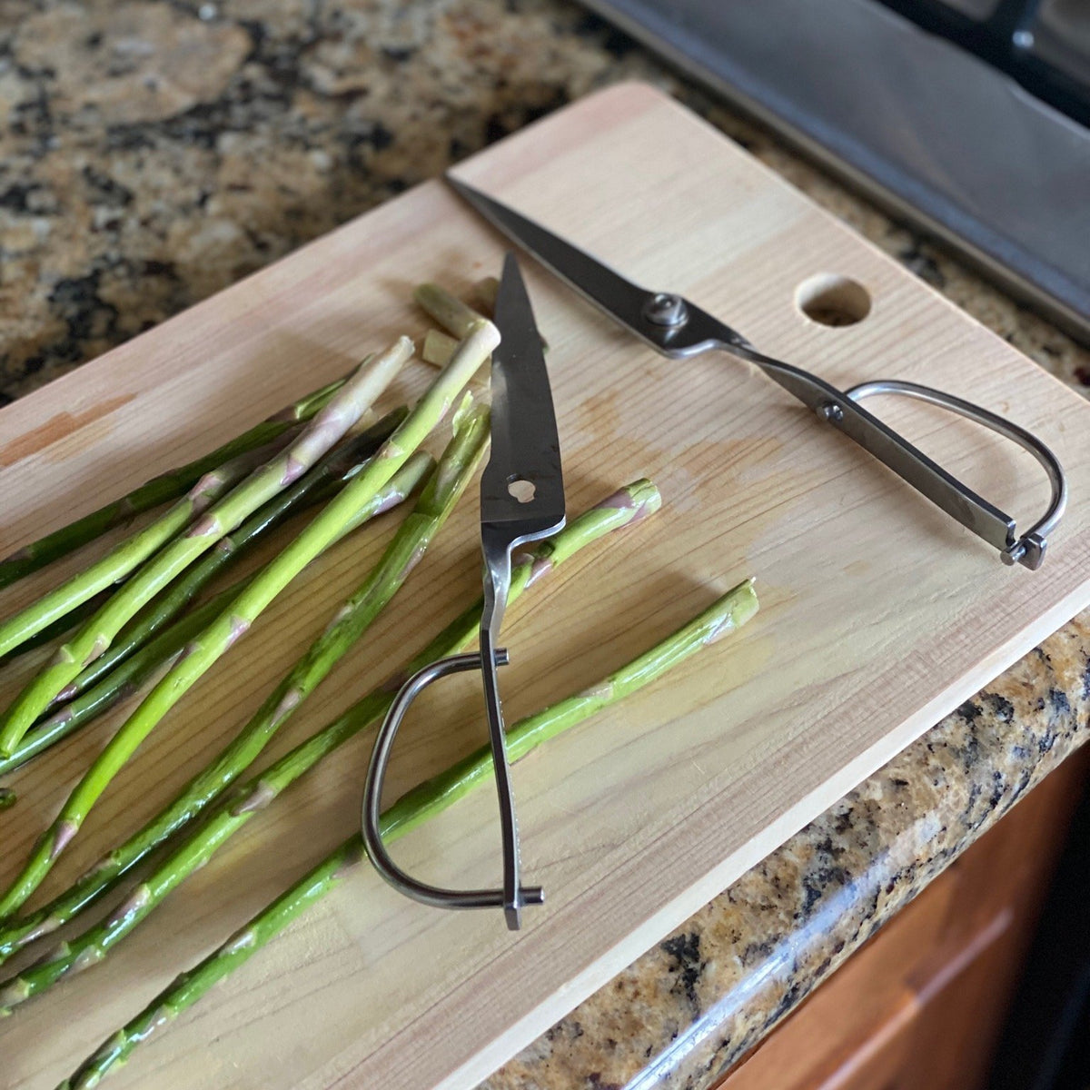 Toribe Kitchen Scissors | Tortoise General Store