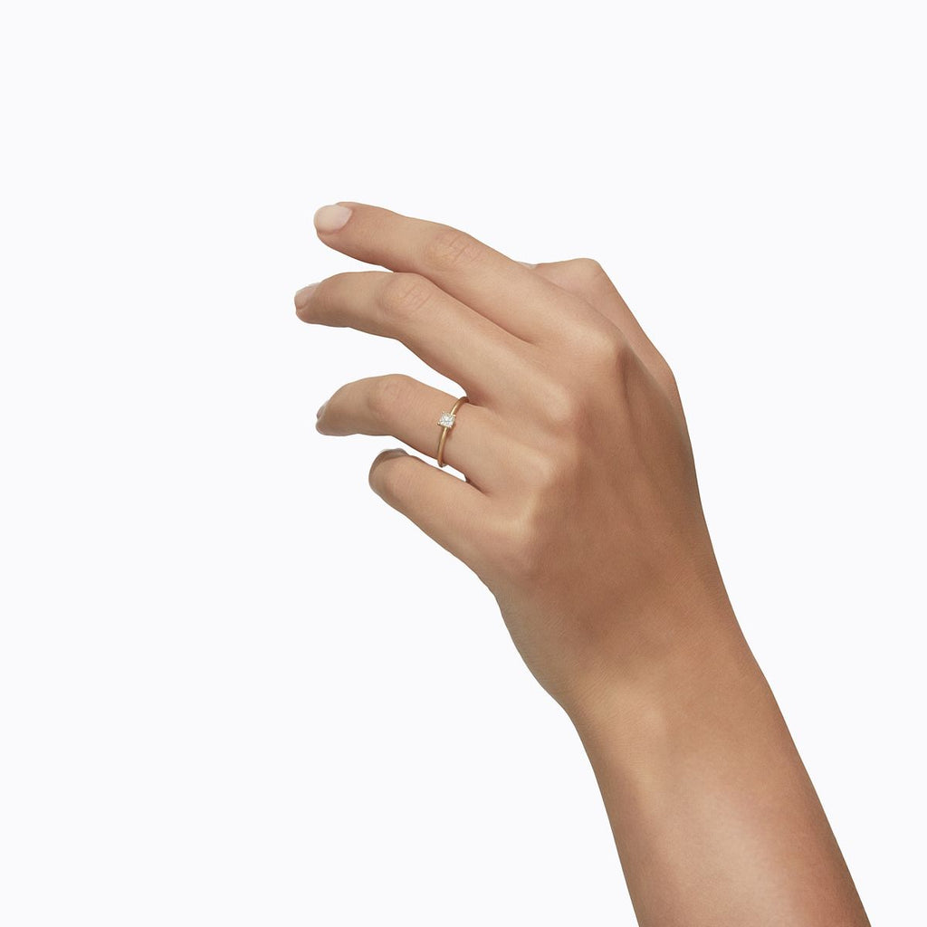 Shihara Classic Ring 04 | tortoise general store