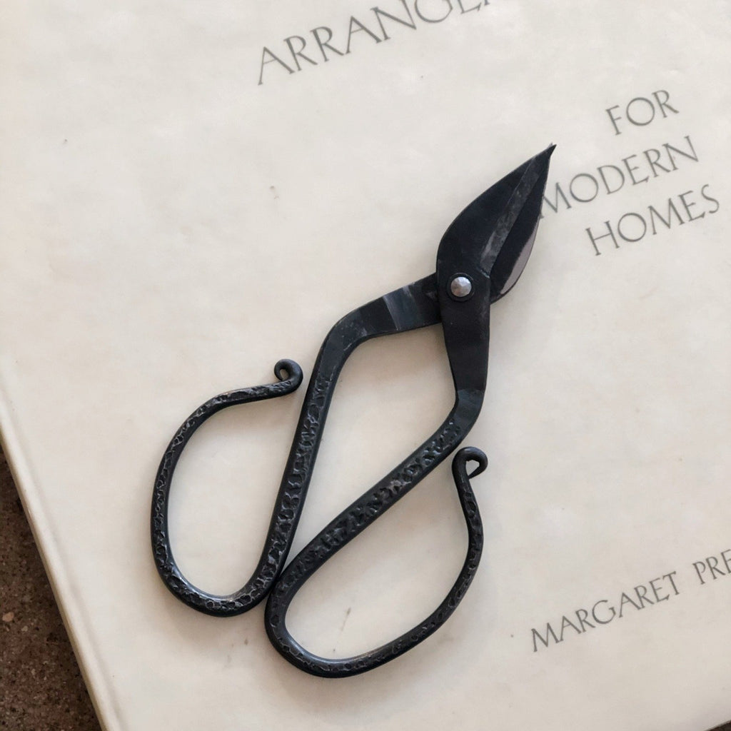 Tajika Branch Scissors | Tortoise General Store