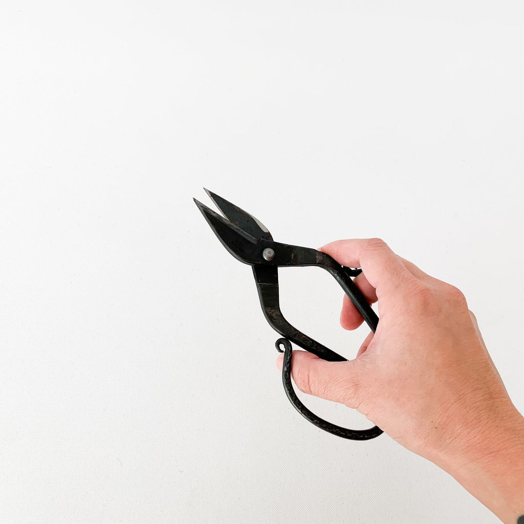 Tajika Branch Scissors | Tortoise General Store