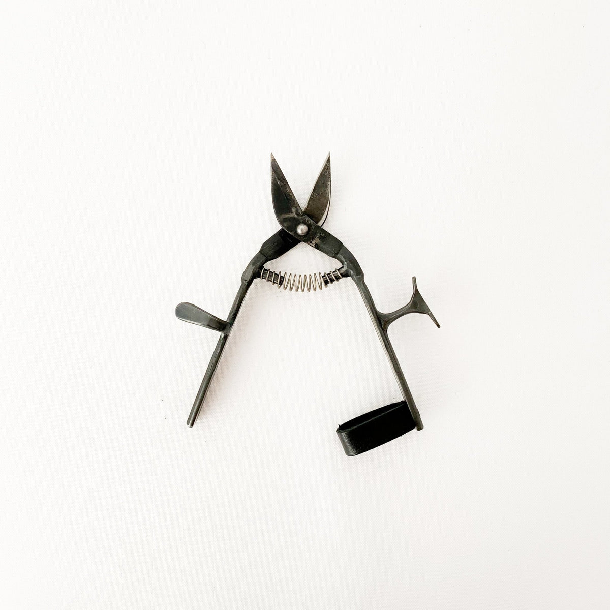 Tajika Garden Scissors | Tortoise General Store