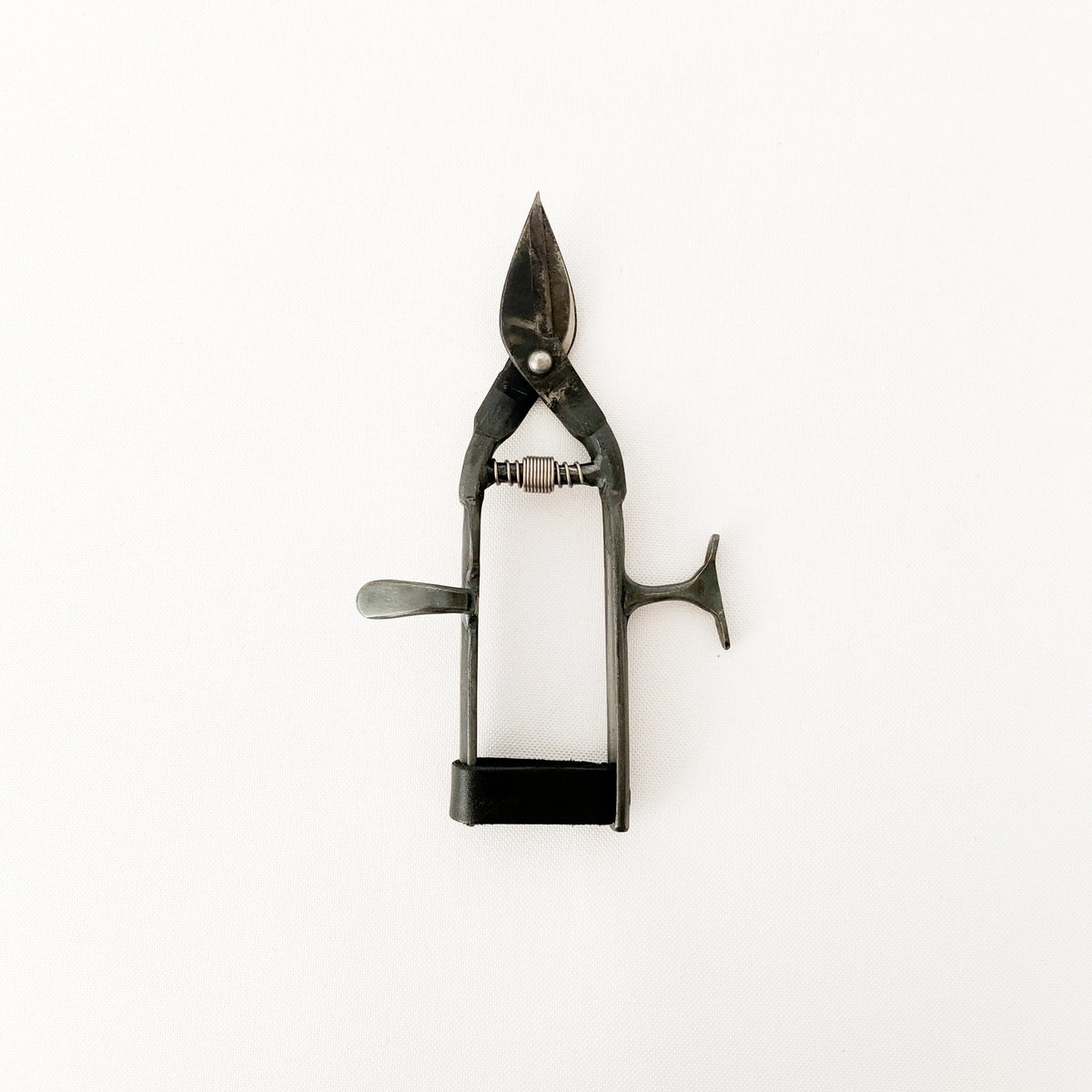 Tajika Garden Scissors | Tortoise General Store